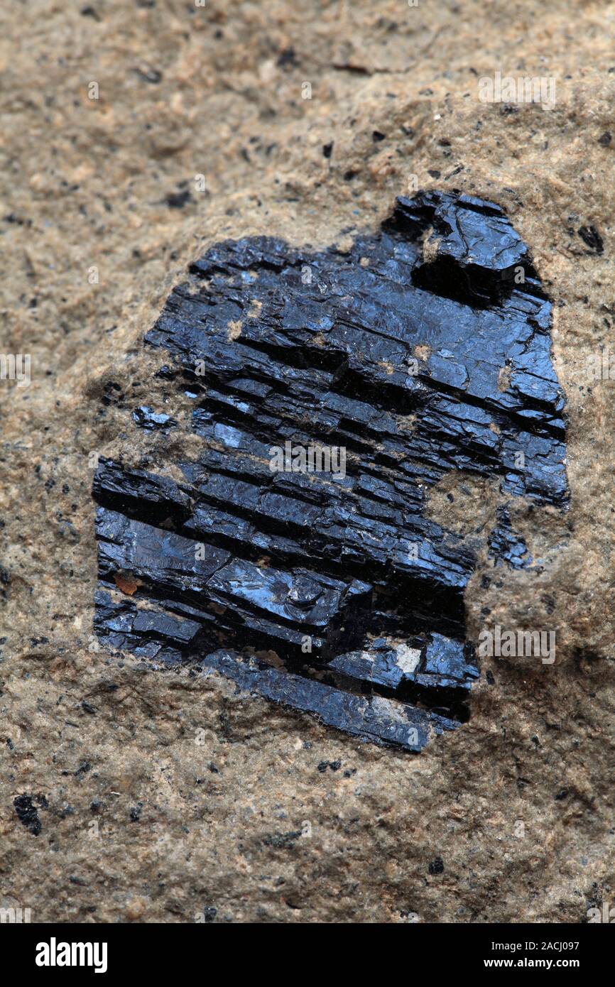 Hornblende crystals. This mineral contains calcium, sodium, magnesium ...