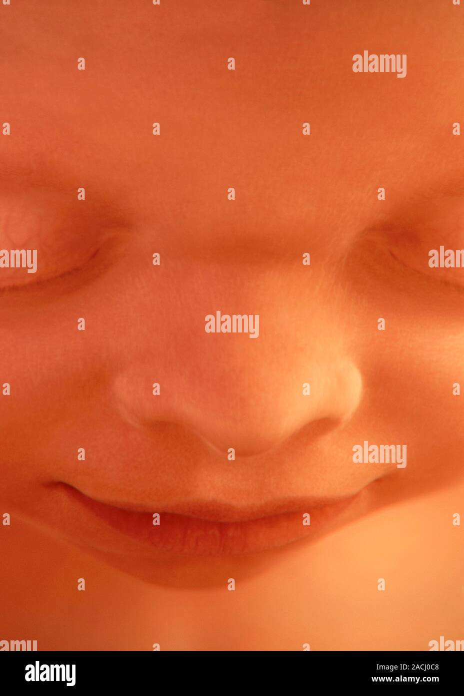 Human foetus in the womb, computer artwork. This foetus is at full term ...