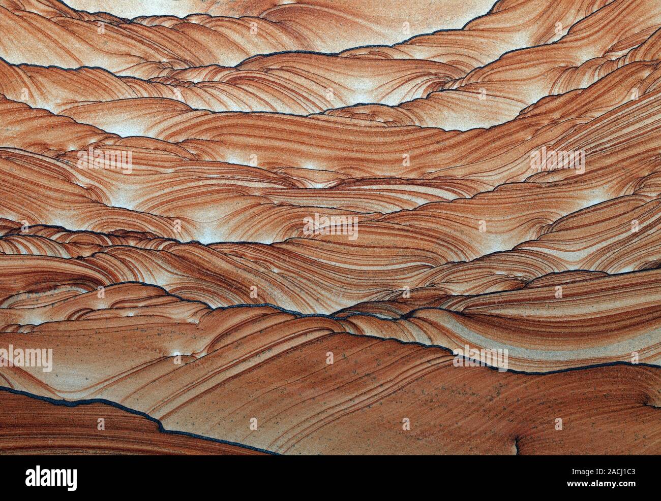 Fossilised ripple marks. Cyclic and rhythmic aeolian stratification in ...