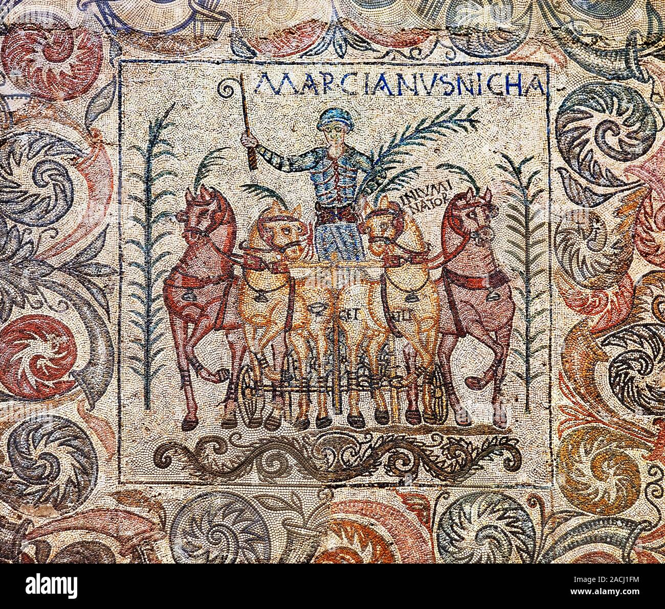 Detail from a 4th Century AD Roman floor Mosaic showing the popular and ...