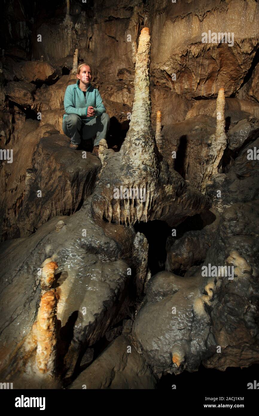 Cave stalagmites. Cave explorer examining large and fast-growing ...