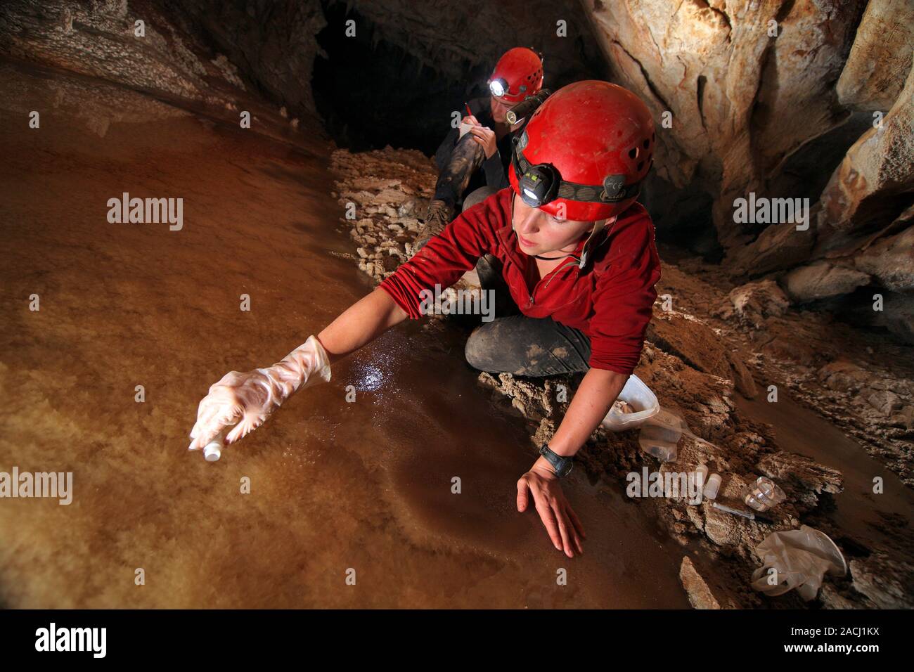 Cave research. Cave explorers taking a sample of water from a gaur pool ...