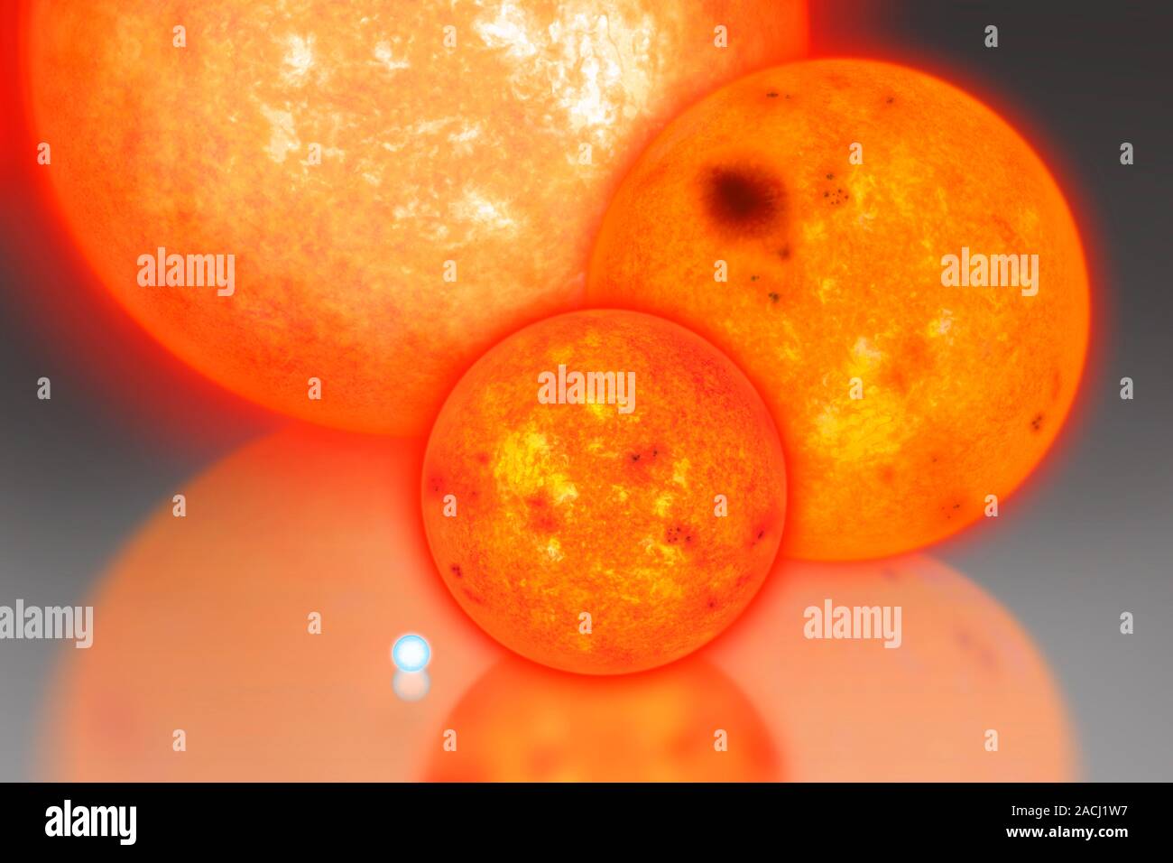Illustration comparing the sizes of several very large stars. The small ...