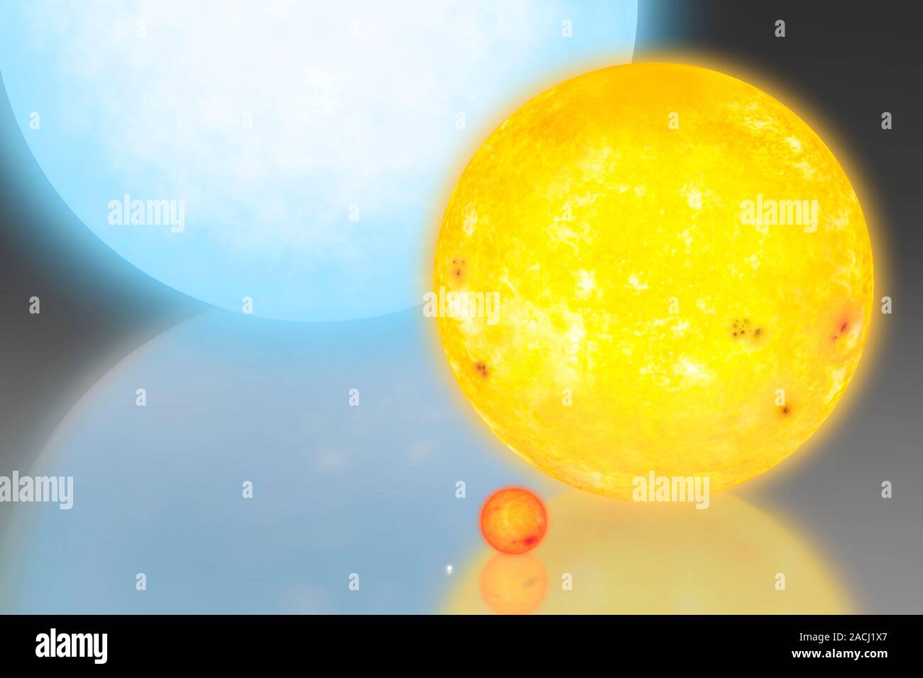 Illustration comparing the size of four small stars. The largest of the ...