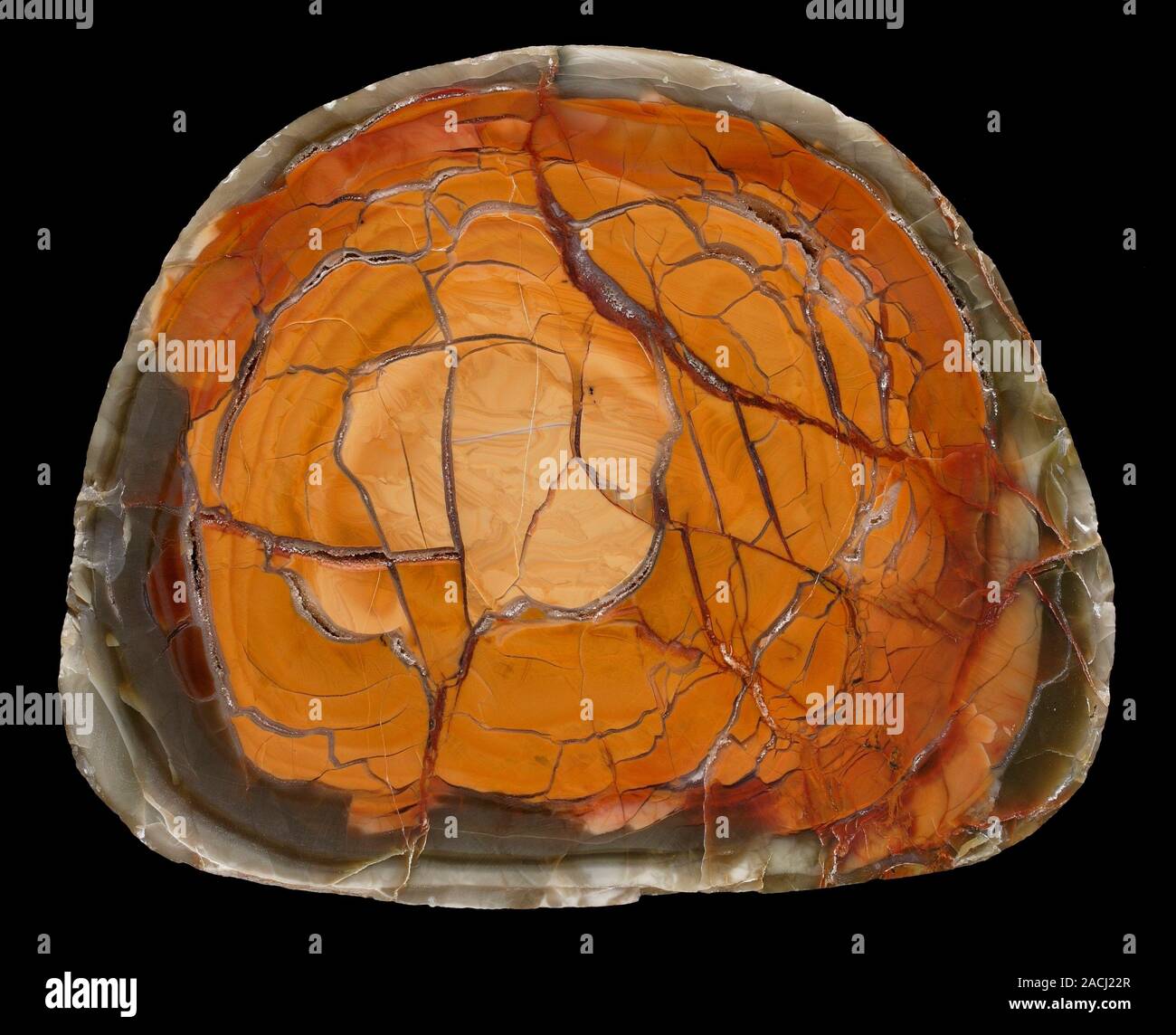 Siam Siding. Agate is an aggregate of different forms of silica (SiO2 ...