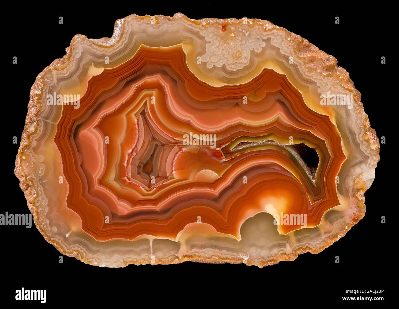 Coyamito agate. Agate is an aggregate of different forms of silica ...