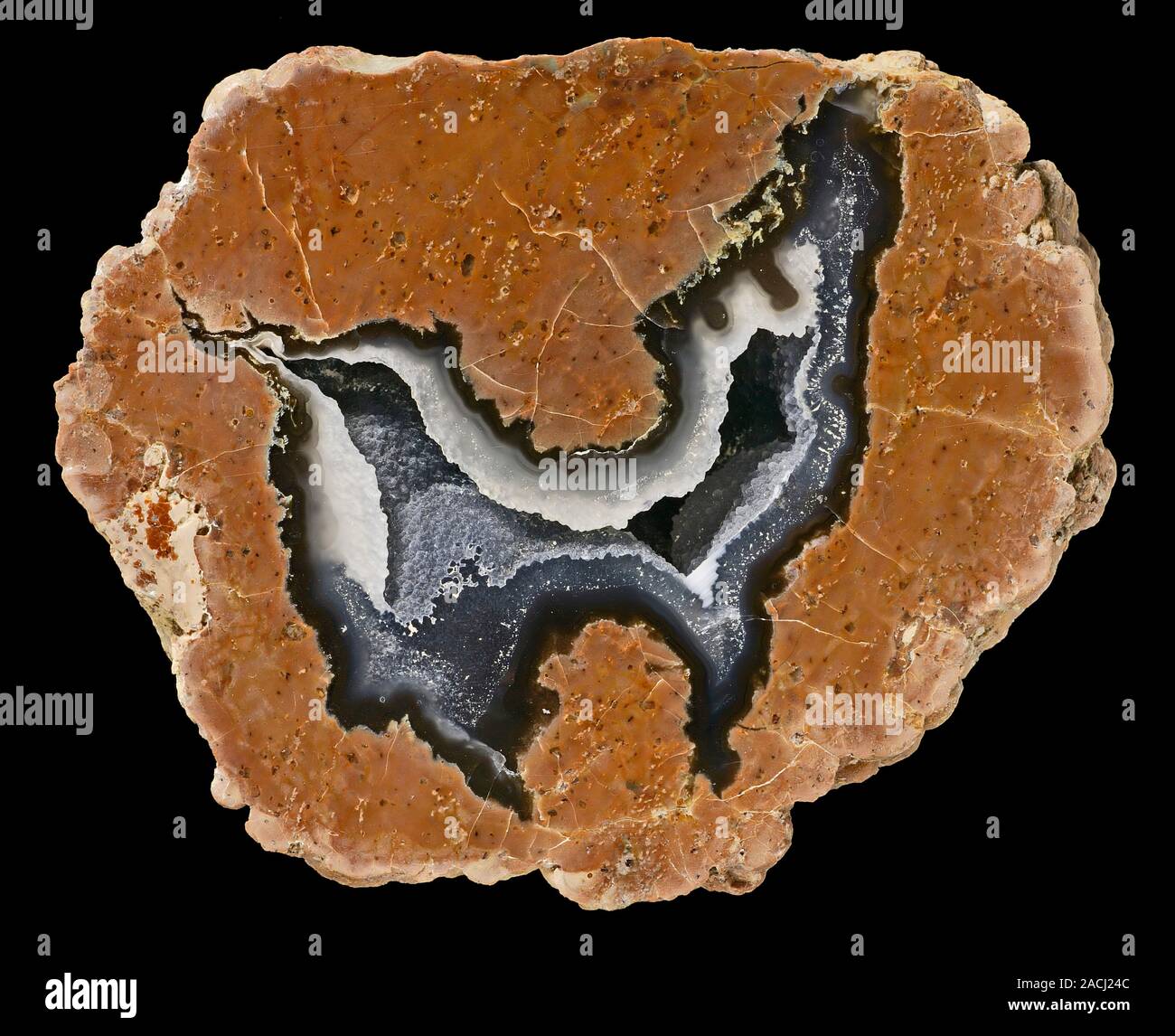 Thunder egg agate. Agate is an aggregate of different forms of silica ...