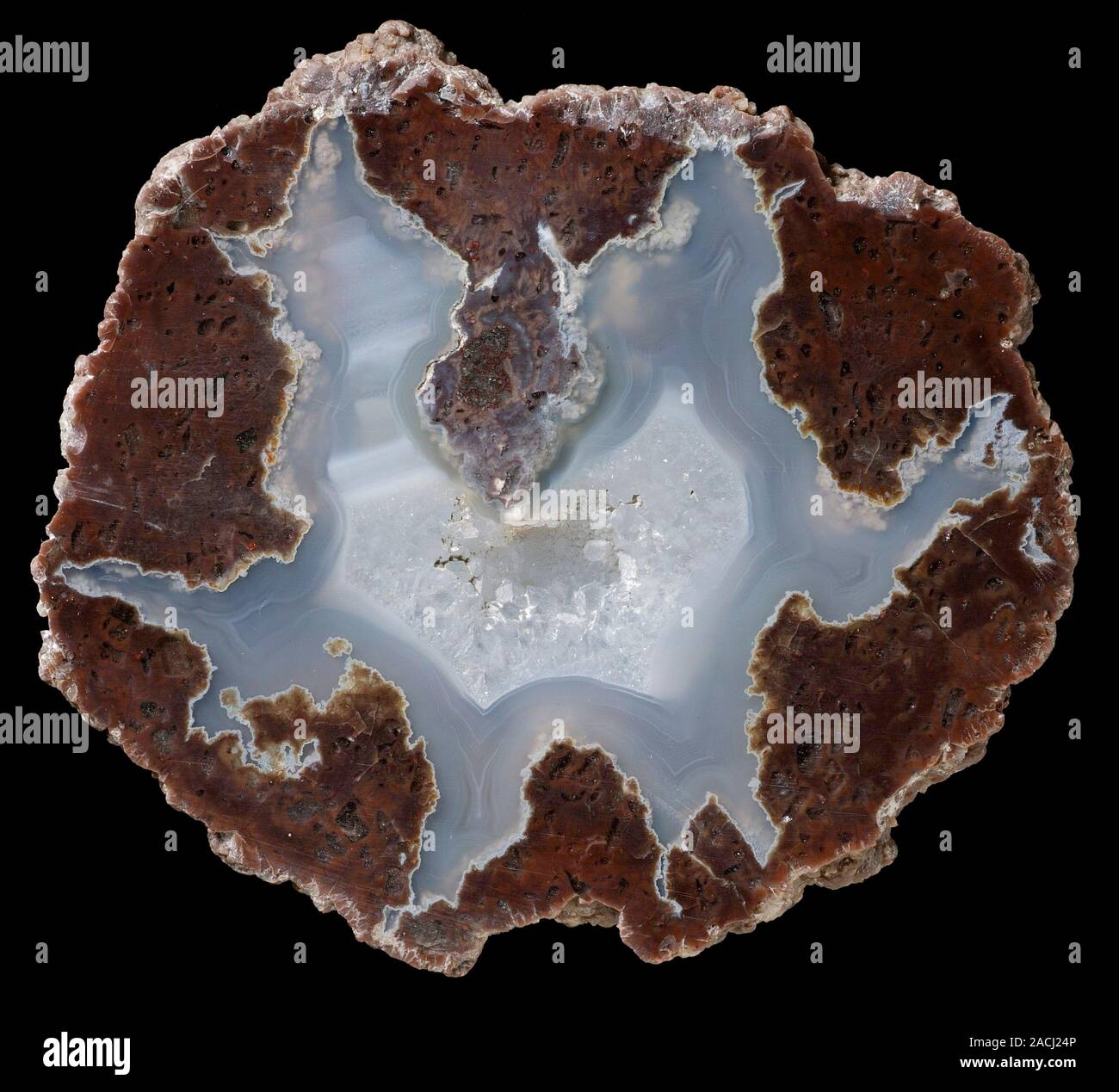 Succor Creek thunder egg agate. Agate is an aggregate of different ...