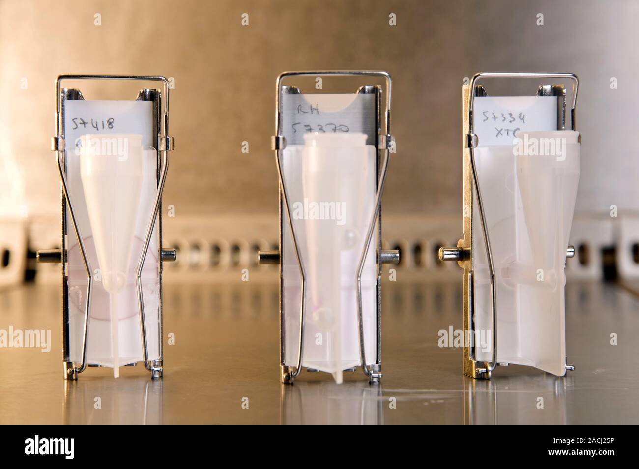 Centrifuge funnels. Containers (white) used in a Cytospin centrifuge to ...