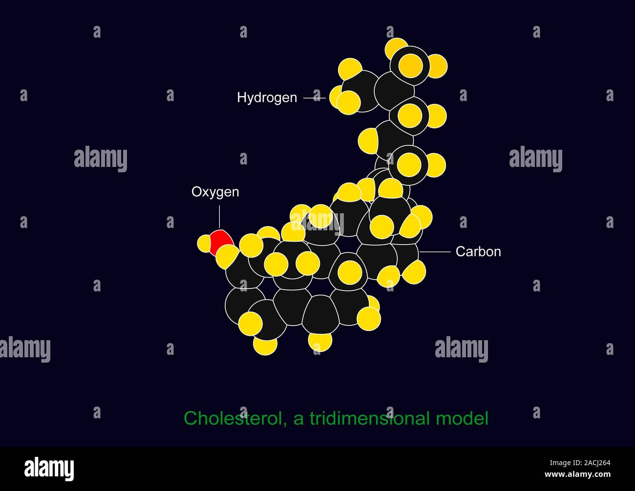 Cholesterol, molecular model. Cholesterol is a lipid, a fat-like ...