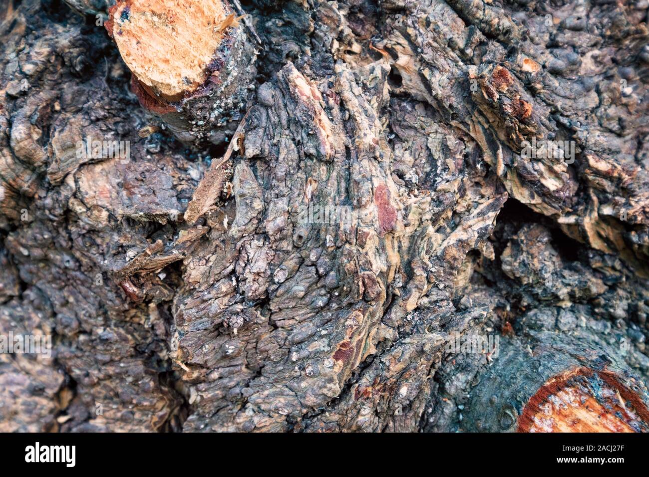 Wood with large scratches hi-res stock photography and images - Alamy