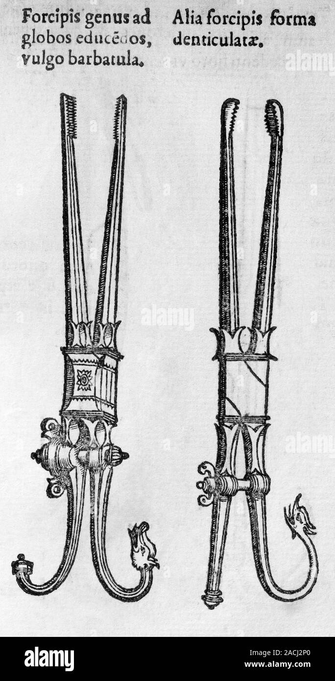 Forceps. 16th century illustration showing two types of forceps. The ...