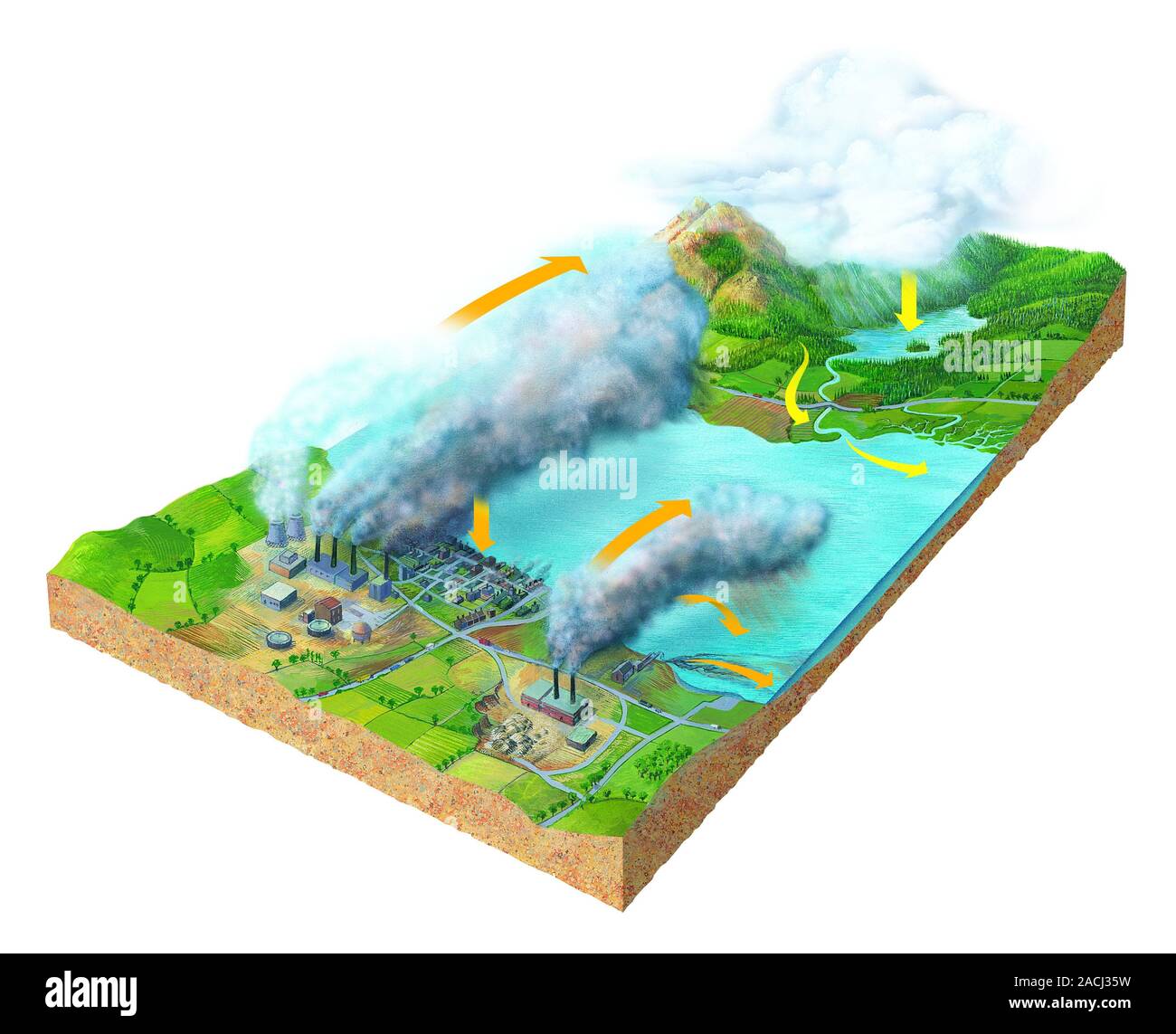 Acid rain, artwork. Acid rain is caused by the release of sulphur ...