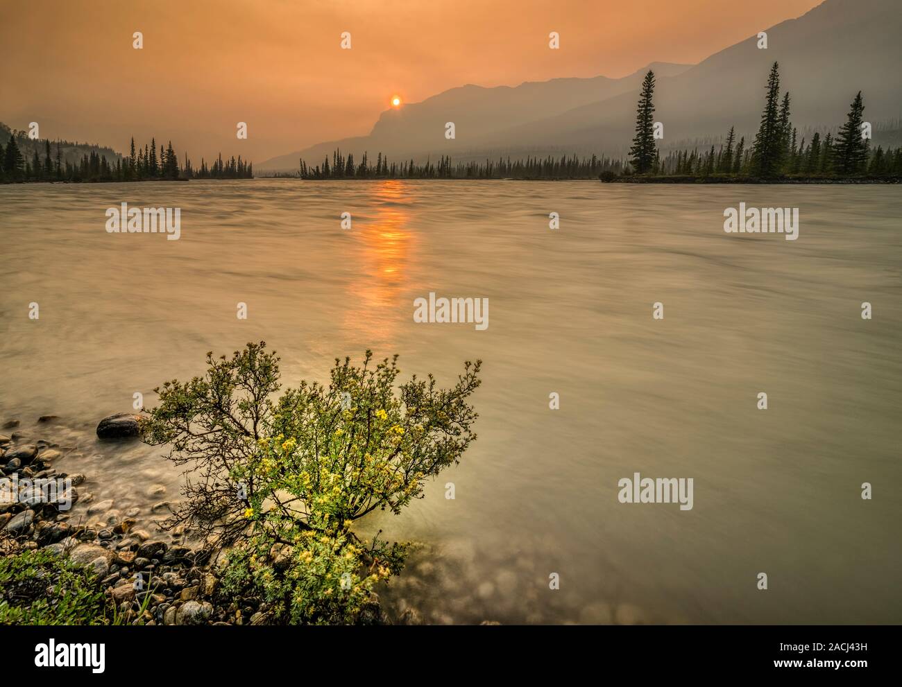 Saskatchewan crossing hi-res stock photography and images - Alamy