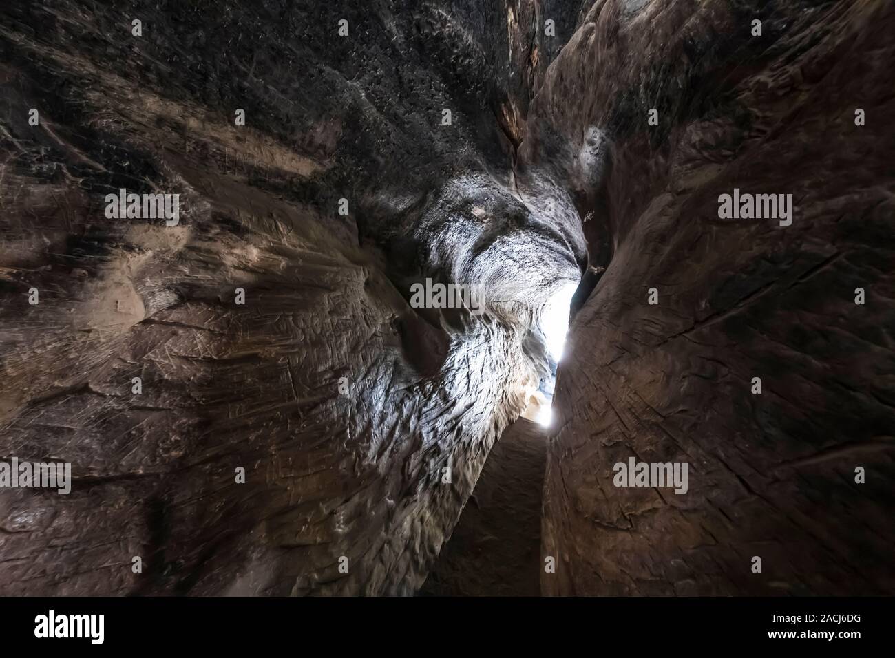 Fallen Monarch, a dead and hollow Giant Sequoia, Sequoiadendron ...