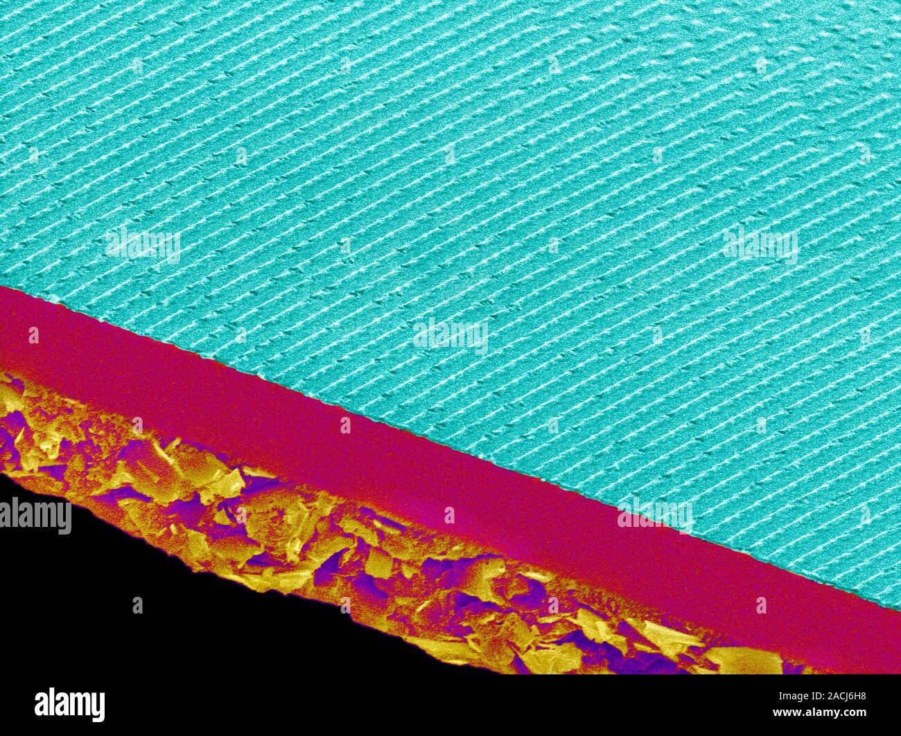 Compact disc. Coloured scanning electron micrograph (SEM) of a section ...