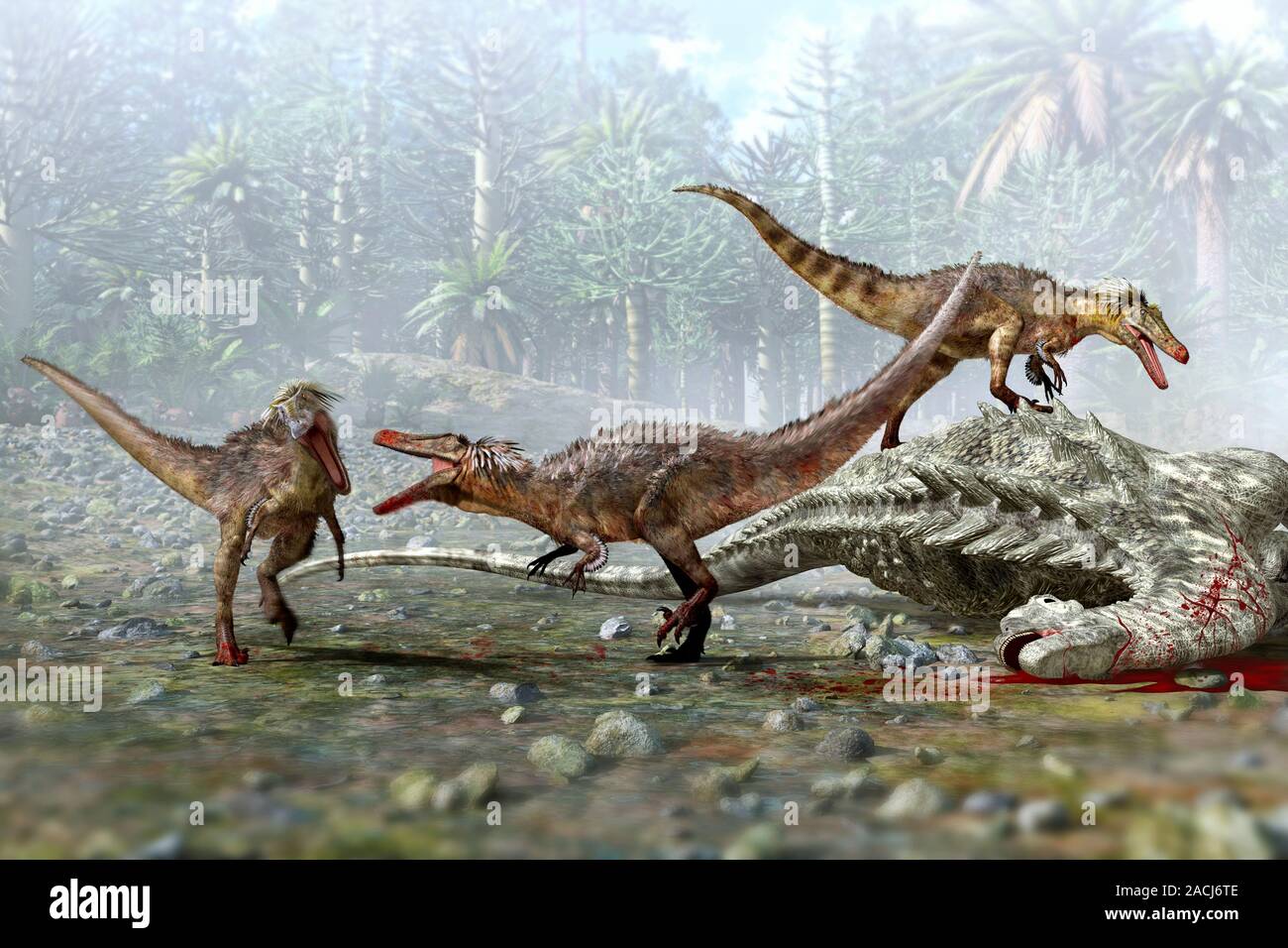 Austroraptor dinosaurs. Artwork of a group of three Austroraptor ...