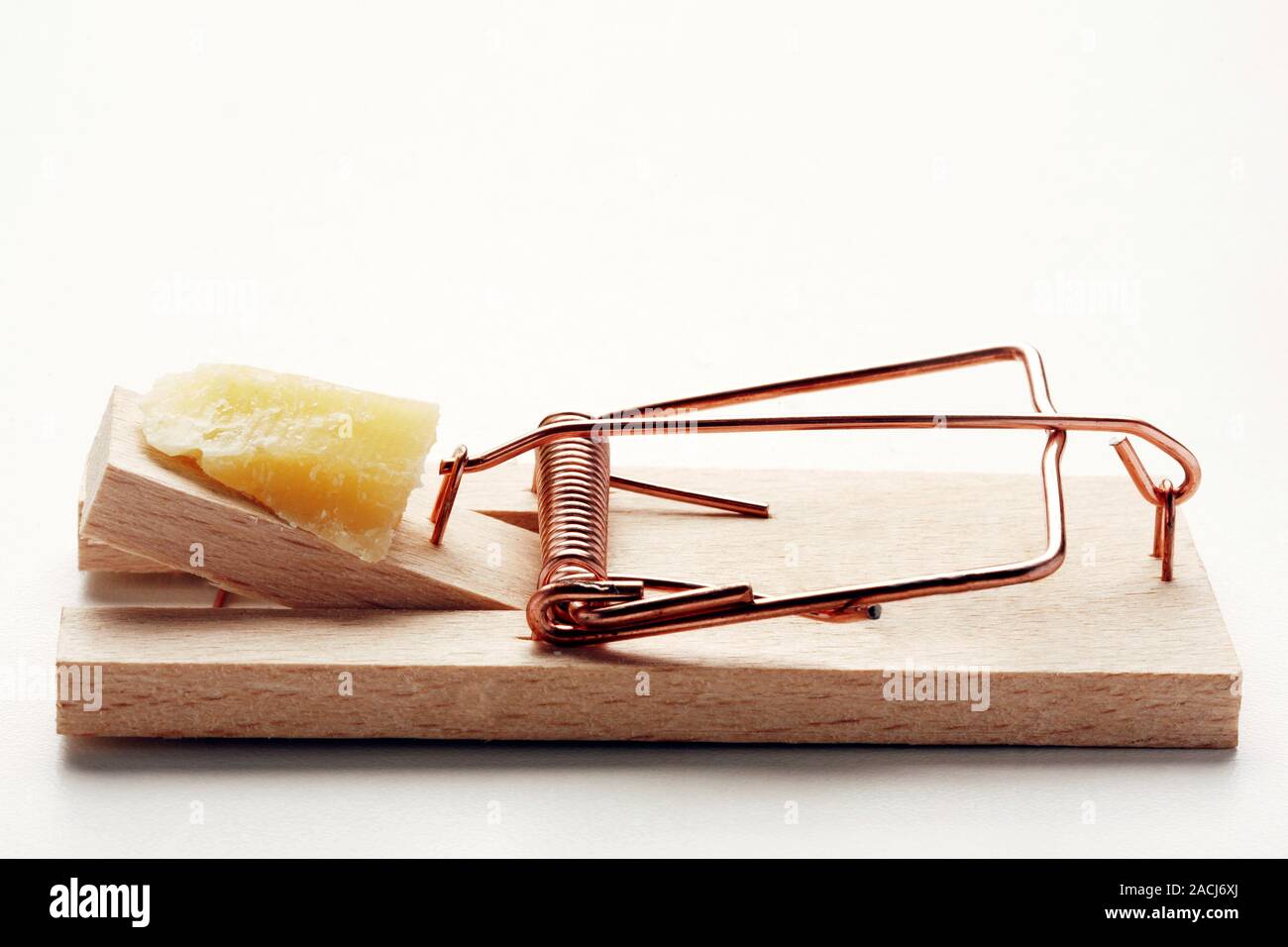 Mouse trap baited with cheese Stock Photo - Alamy