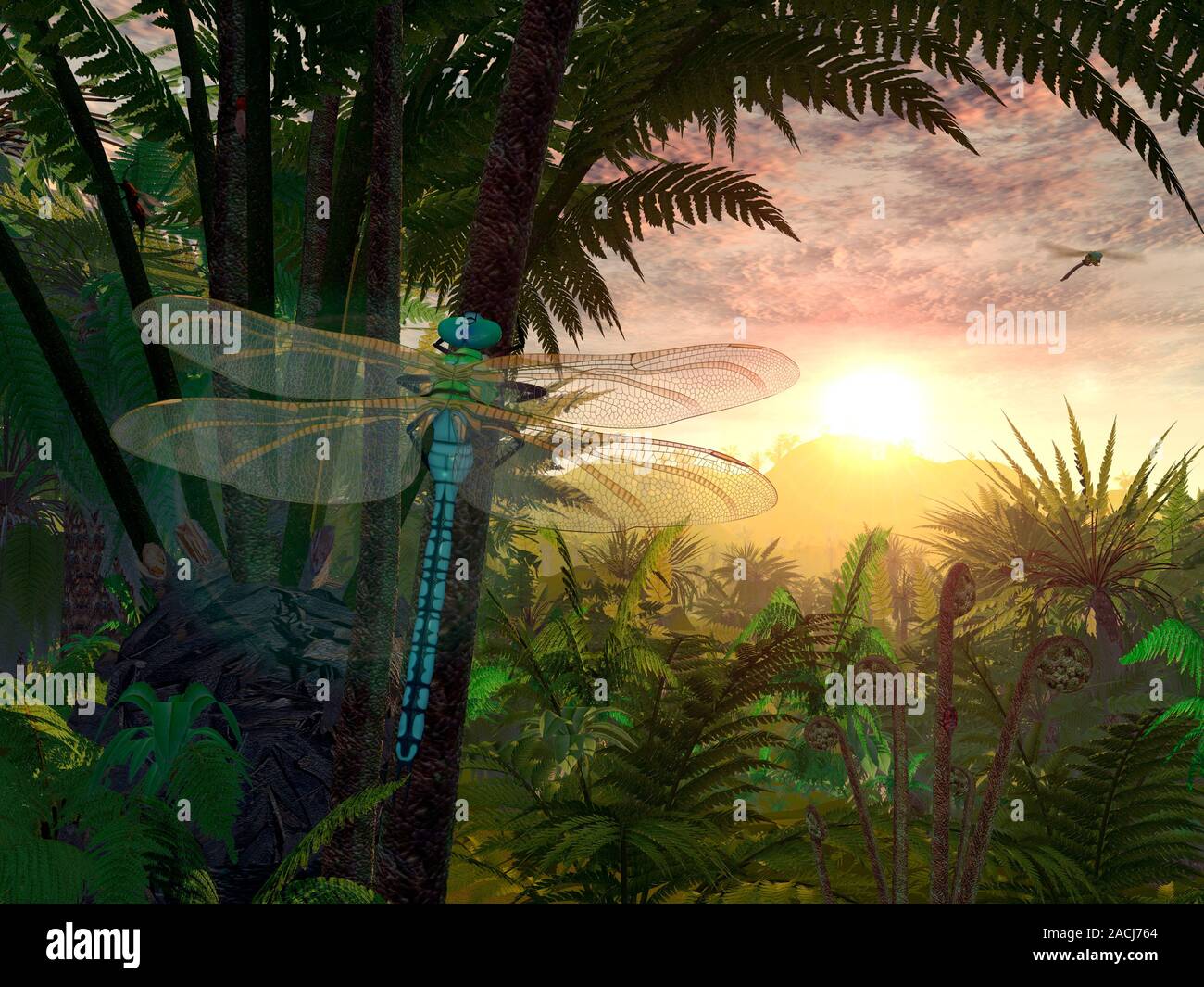 Prehistoric dragonfly. Computer artwork of giant Meganeura resting on a ...