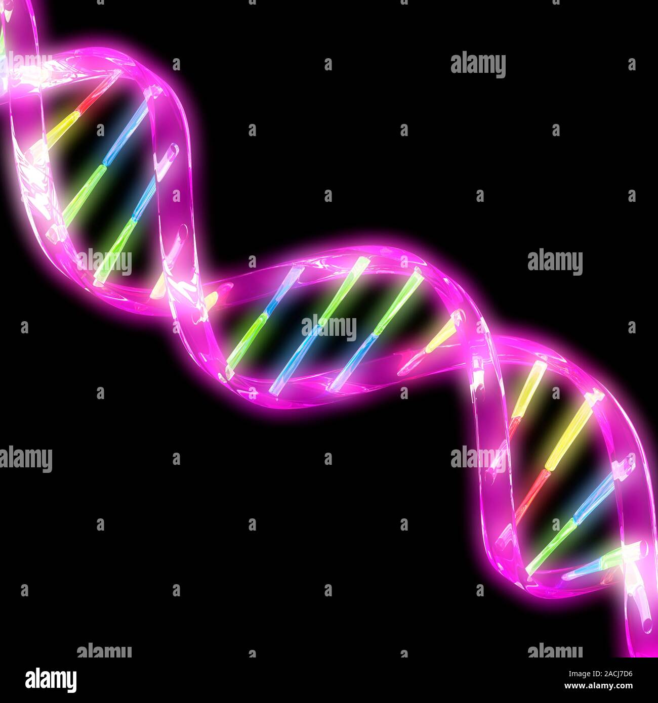 DNA molecule. Computer artwork of a double stranded DNA ...