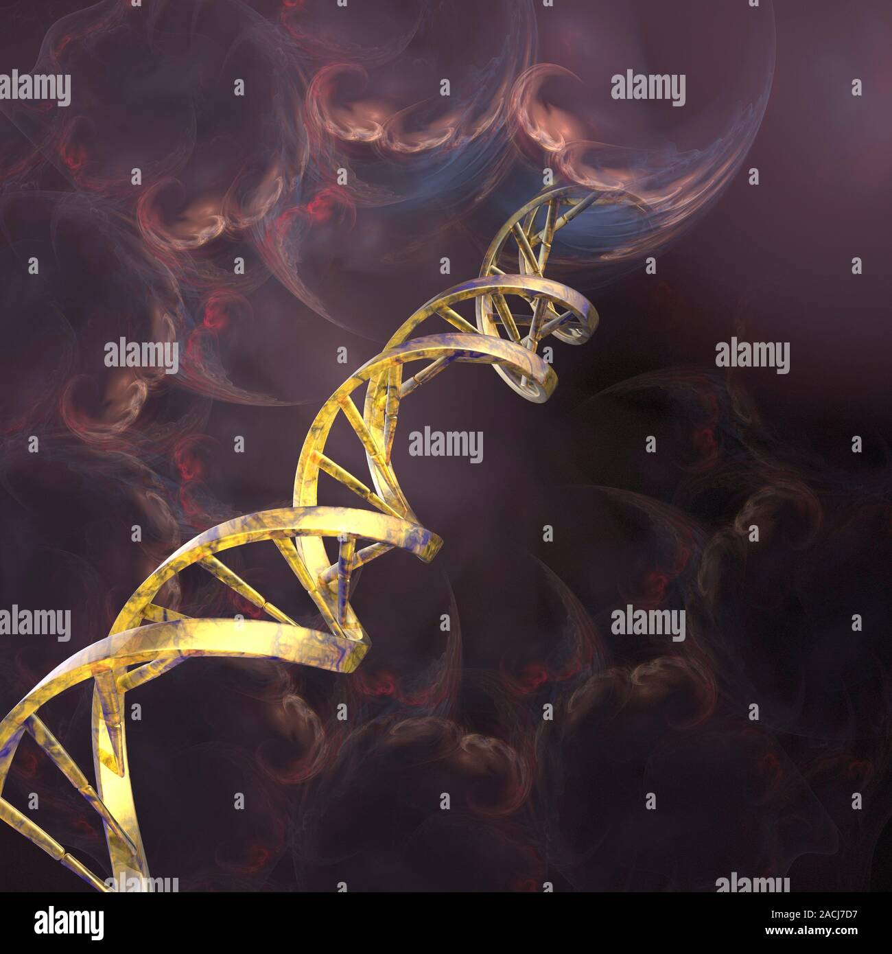 DNA molecule. Computer artwork of a double stranded DNA ...