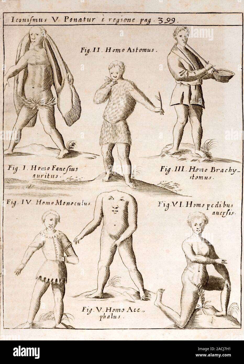 I Long eared man", II "Boy without a mouth" III "human with an arm/tube ...