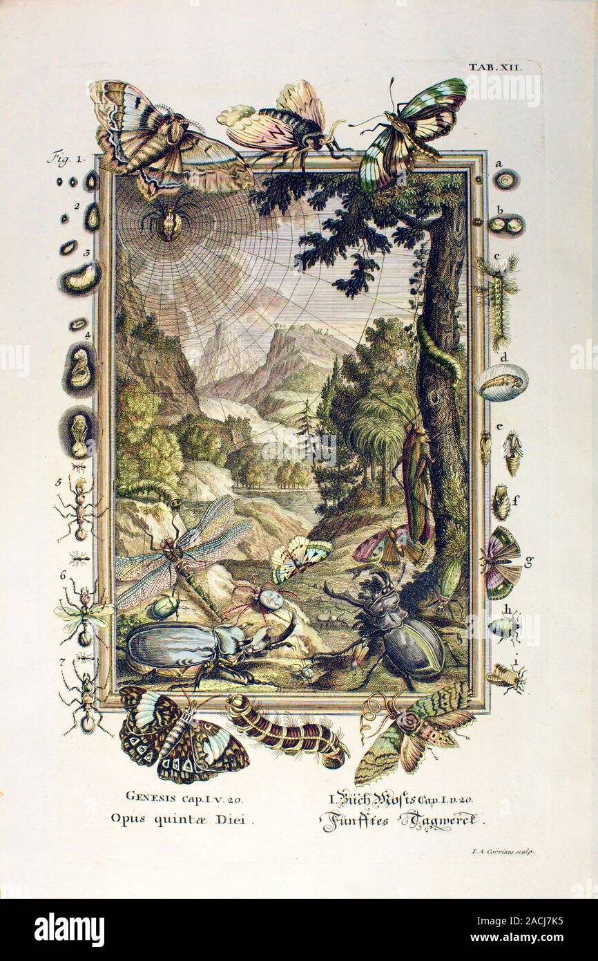 1731 Physica Sacra (Sacred Physics) by Johann Scheuchzer (1672-1733 ...