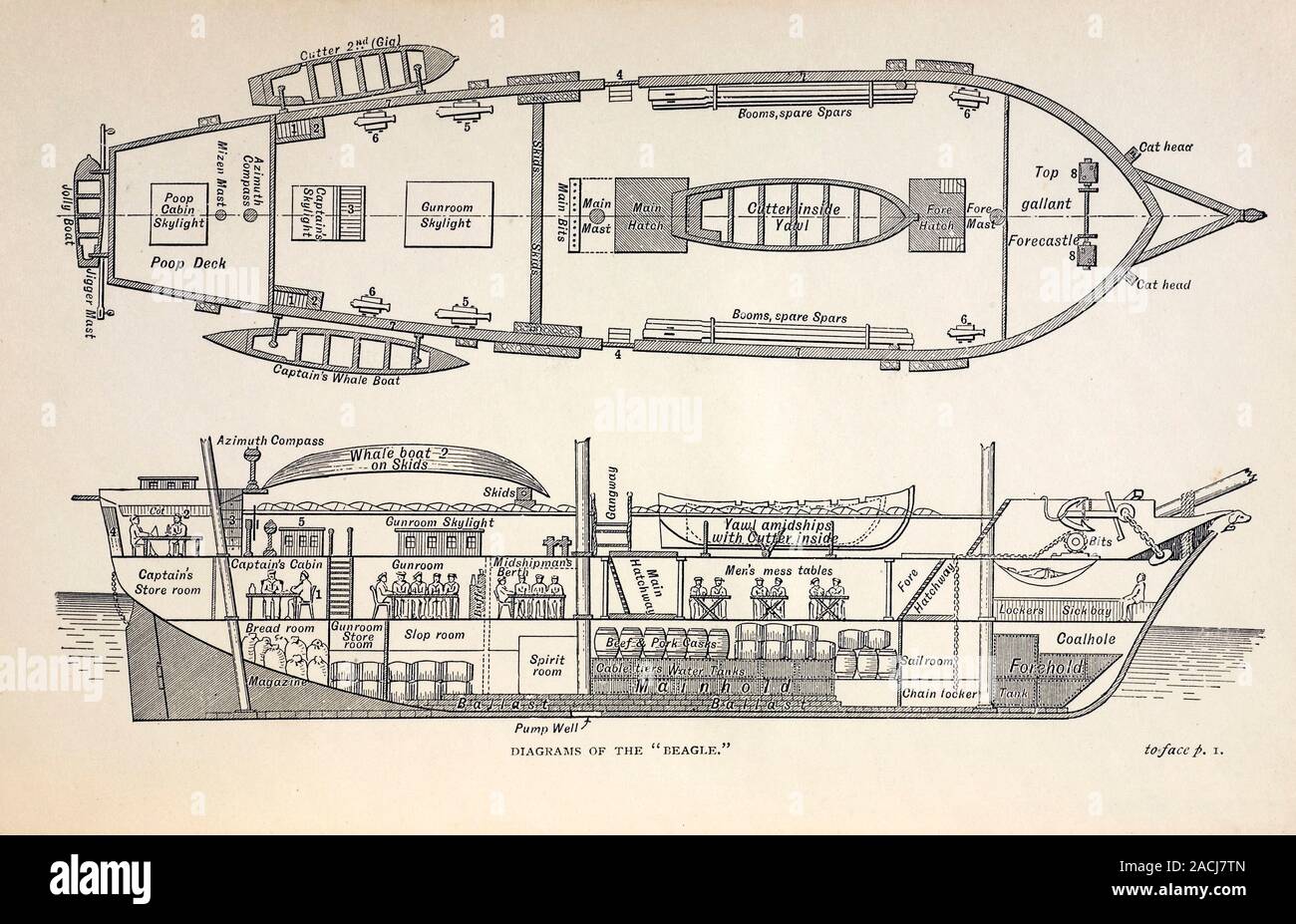 H.M.S. Beagle Middle Section Fore and Aft 1832" from "The Voyage of HMS ...