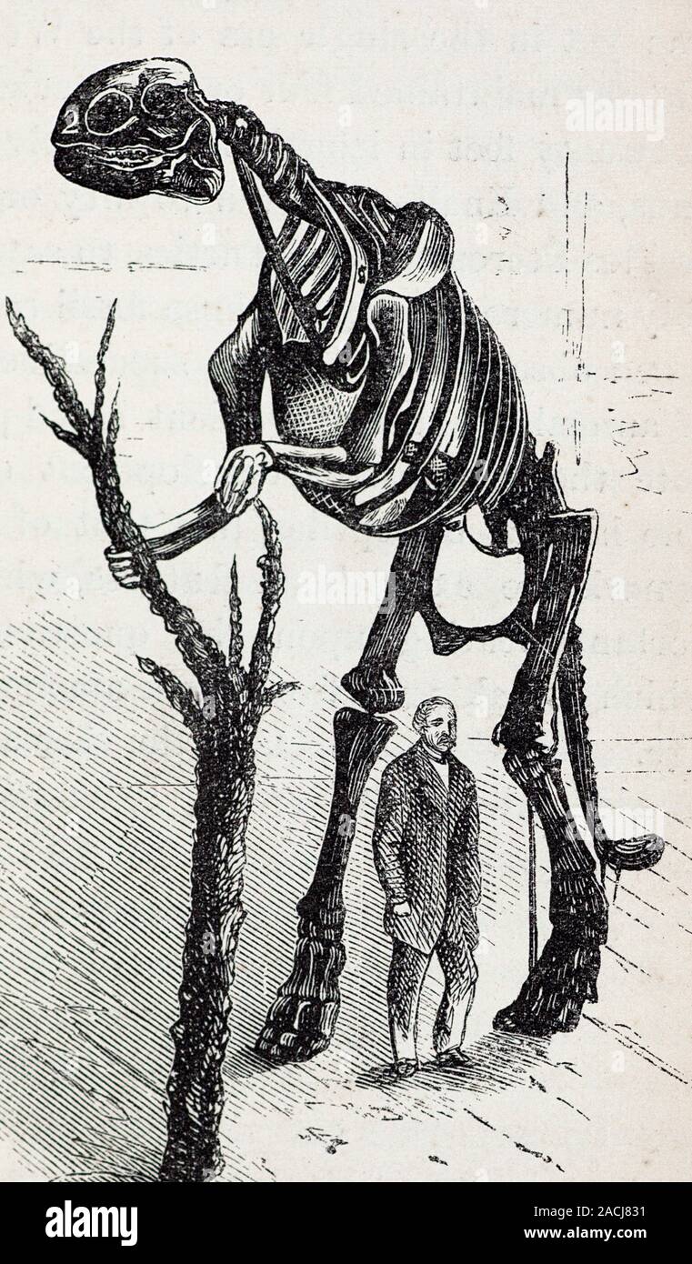 Benjamin Waterhouse Hawkin and his Hadrosaurus foulkii, the world's ...