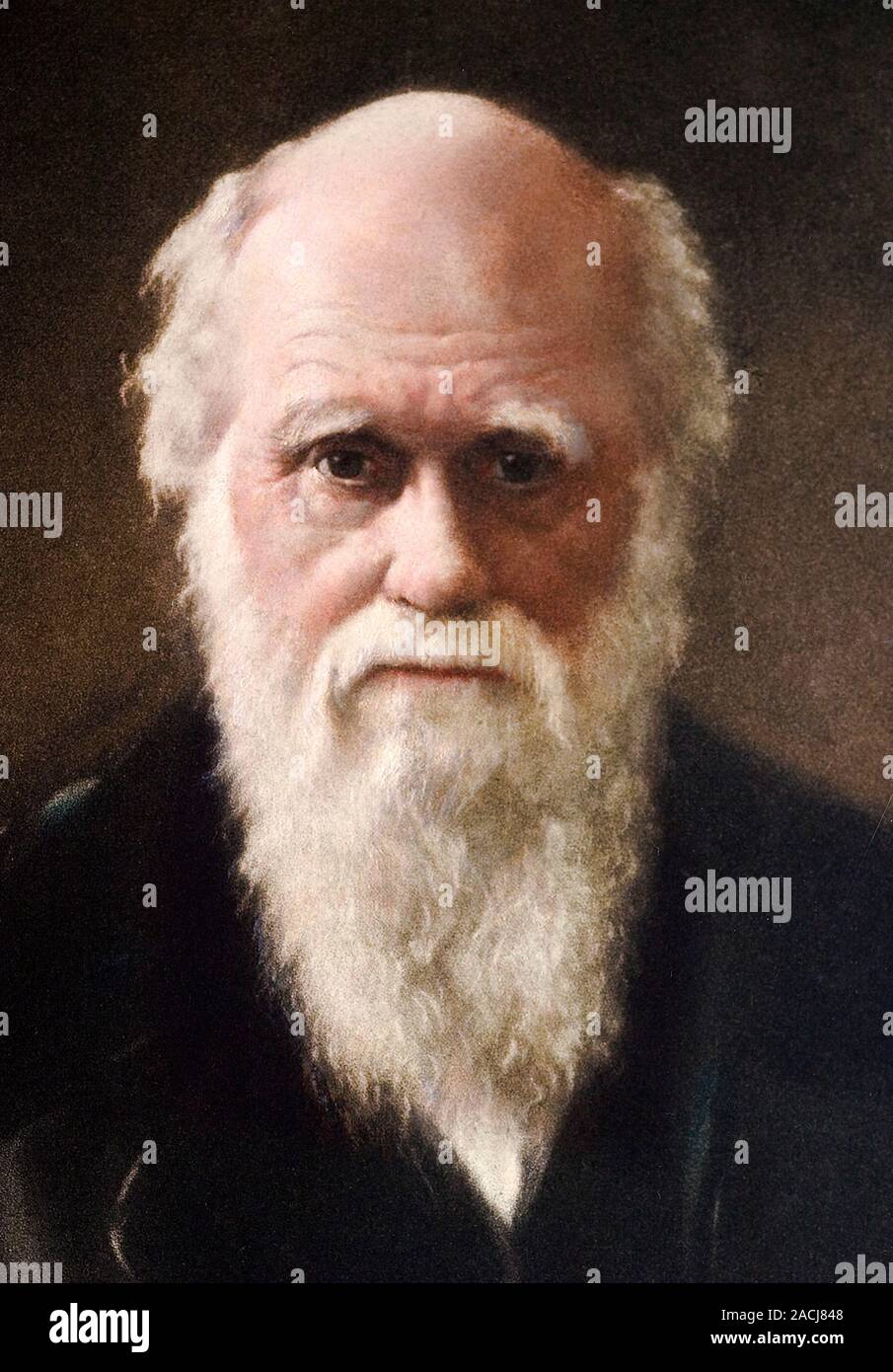 1881 Charles Robert Darwin ( 12 February 1809 - 19 April 1882) English ...