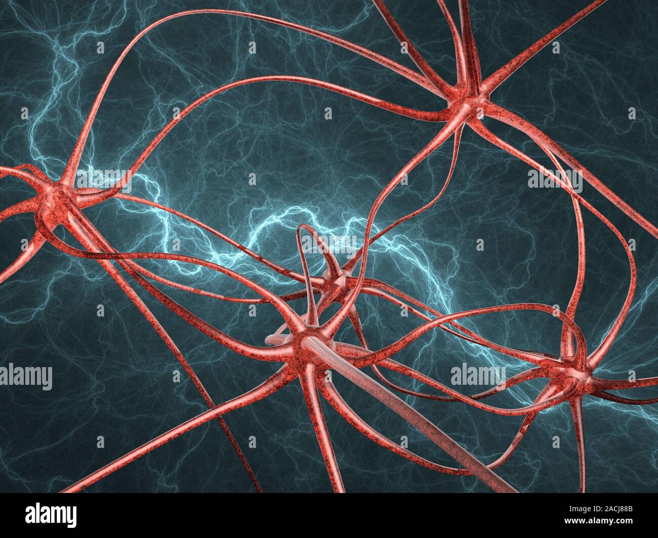 Neural network, computer artwork Stock Photo - Alamy