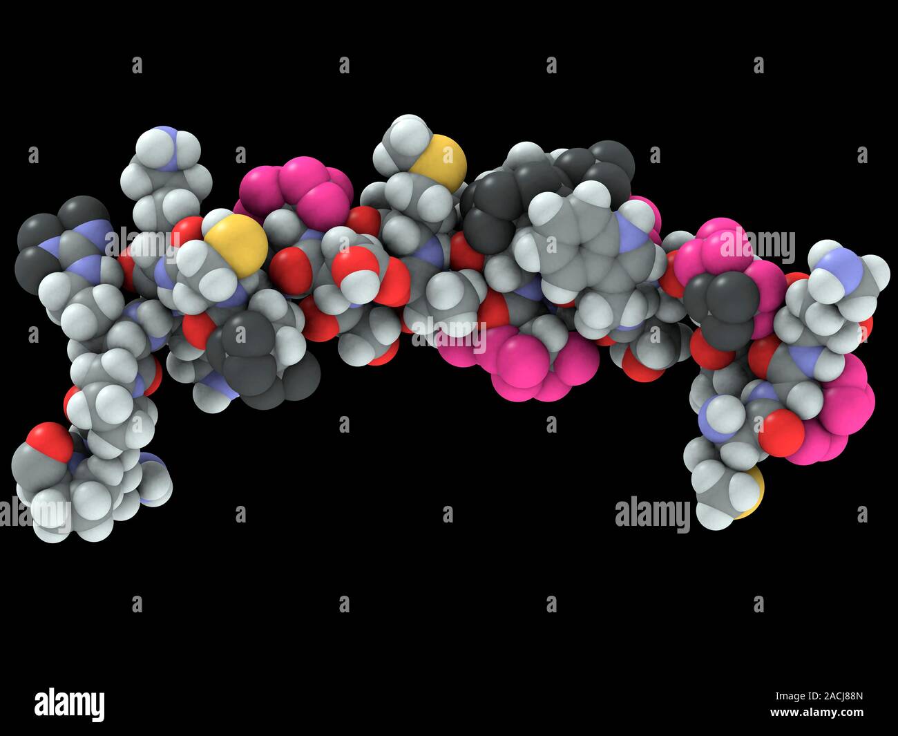 Bovine prion protein. Computer model showing the molecular structure of ...