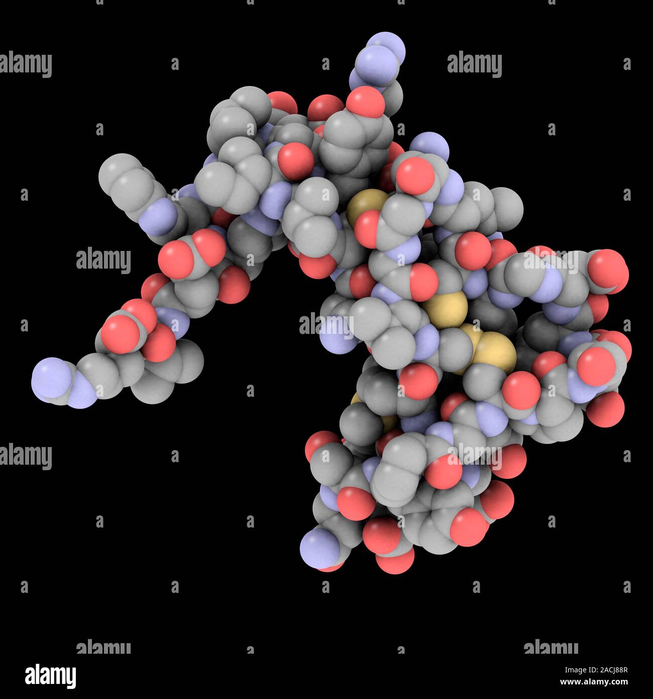 Epidermal growth factor molecule. Computer model showing the structure ...