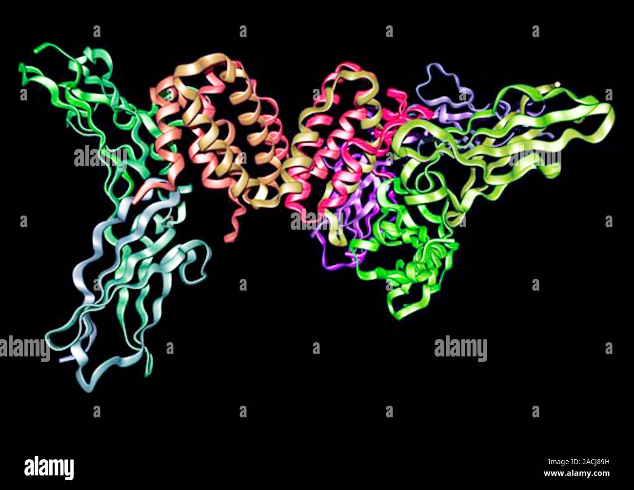 Interferon gamma. Molecular model showing the secondary structure of ...