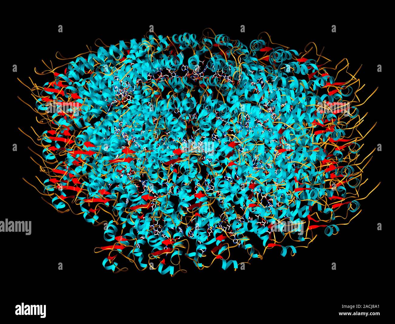 Tobacco mosaic virus. Computer model showing the molecular structure of ...