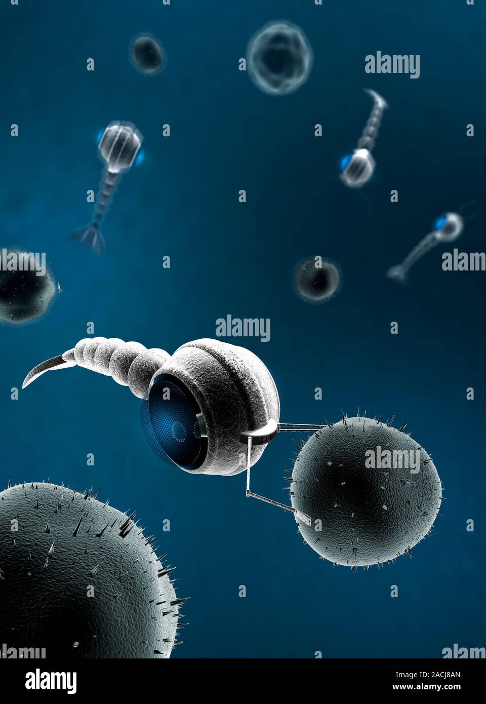 Medical nanorobots. Computer artwork of nanorobots in a human body ...