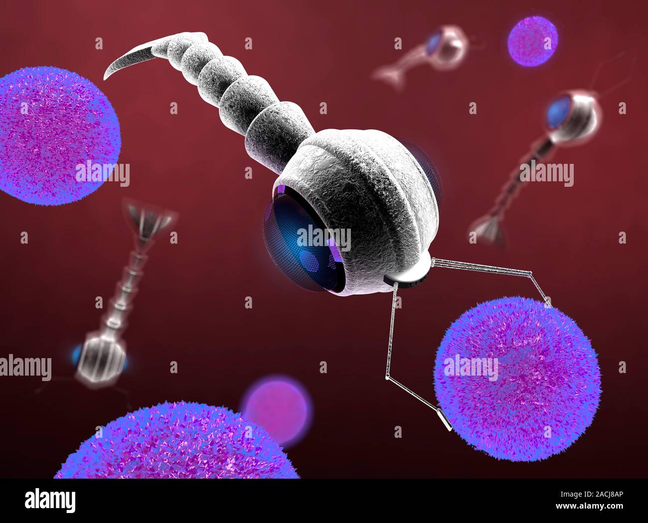 Medical nanorobots. Computer artwork of nanorobots in a human body ...