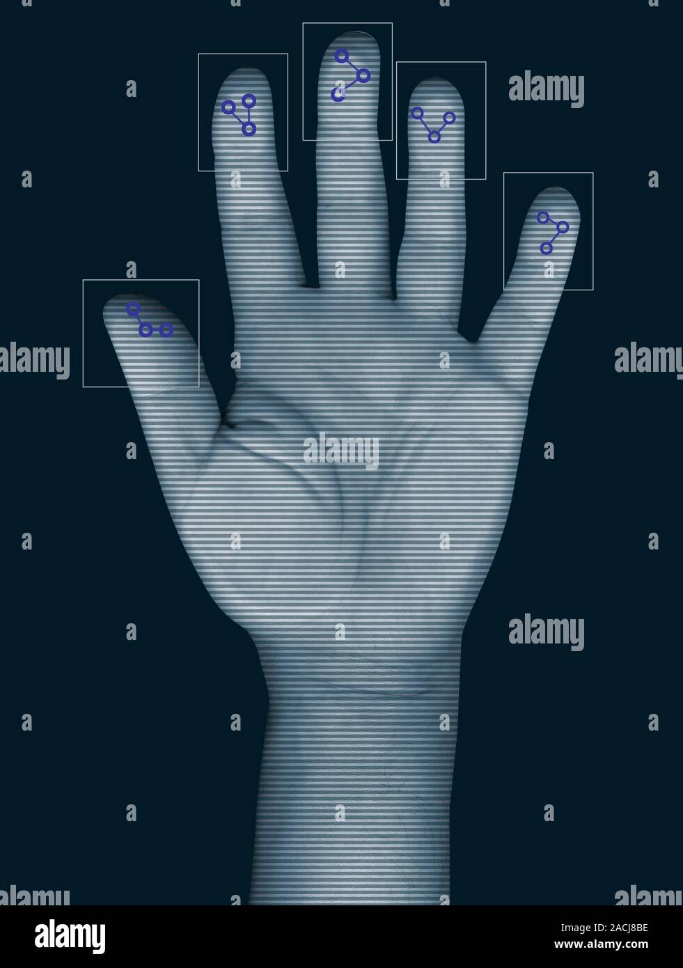 Biometric security. Computer artwork showing a human hand with its ...