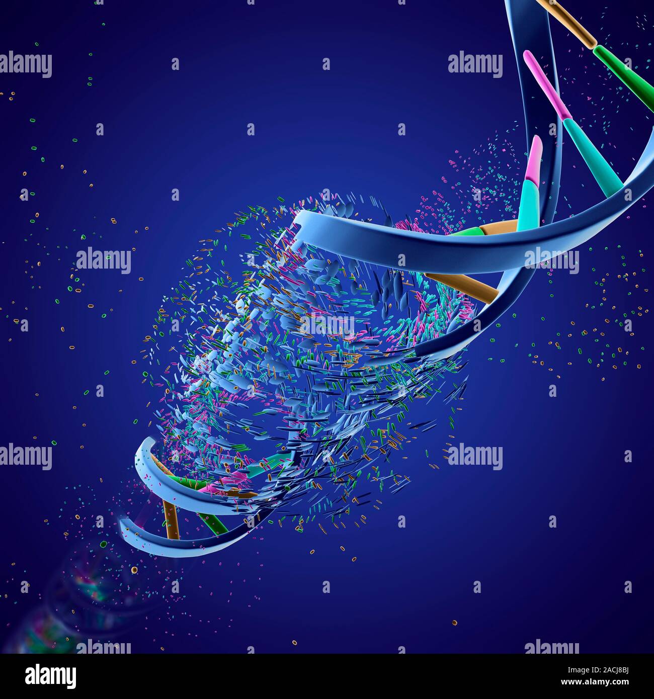 DNA damage, conceptual artwork. The fragmentation (centre) of this ...
