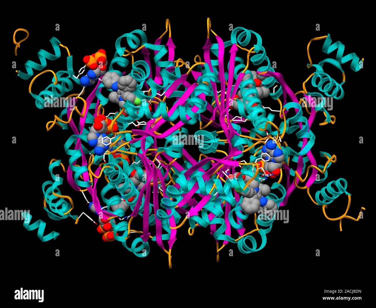 Cholesterol producing enzyme and statin. Computer model showing the ...