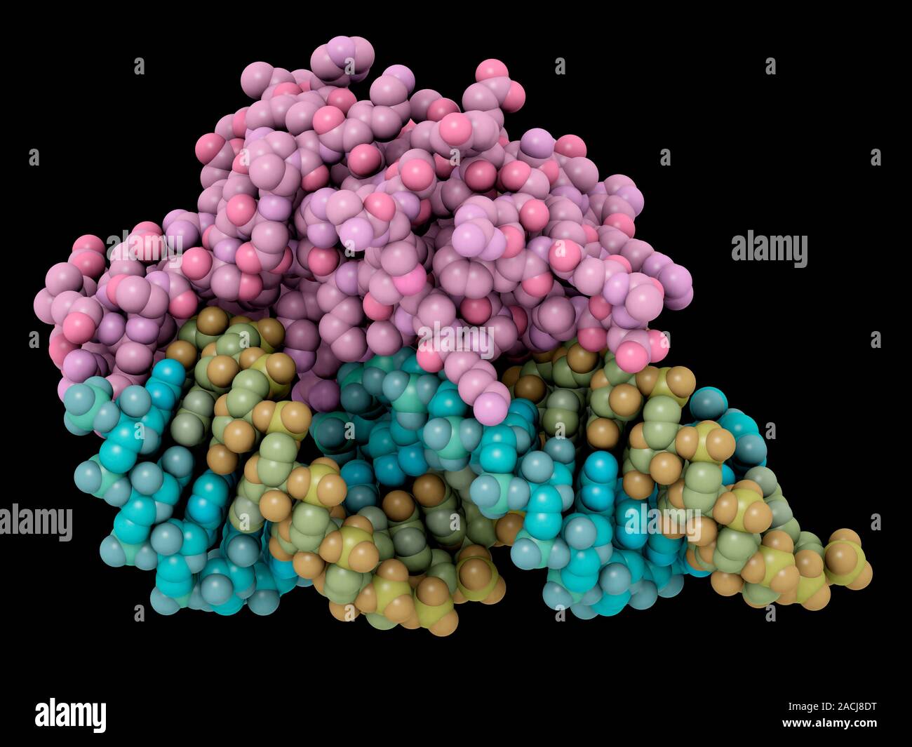 RNA interference viral suppressor and RNA. Computer model showing the ...