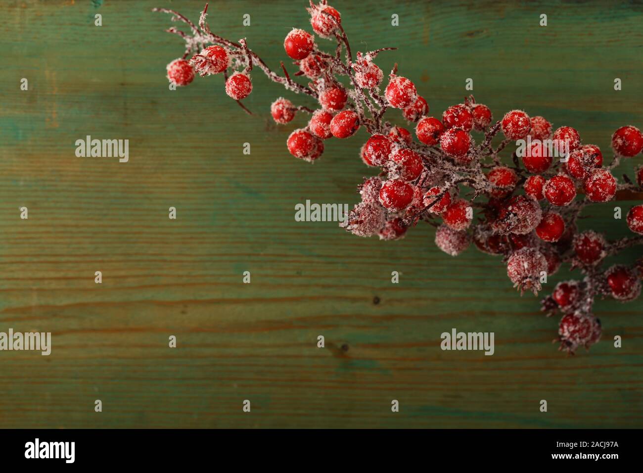 Christmas composition frozen berries hi-res stock photography and ...