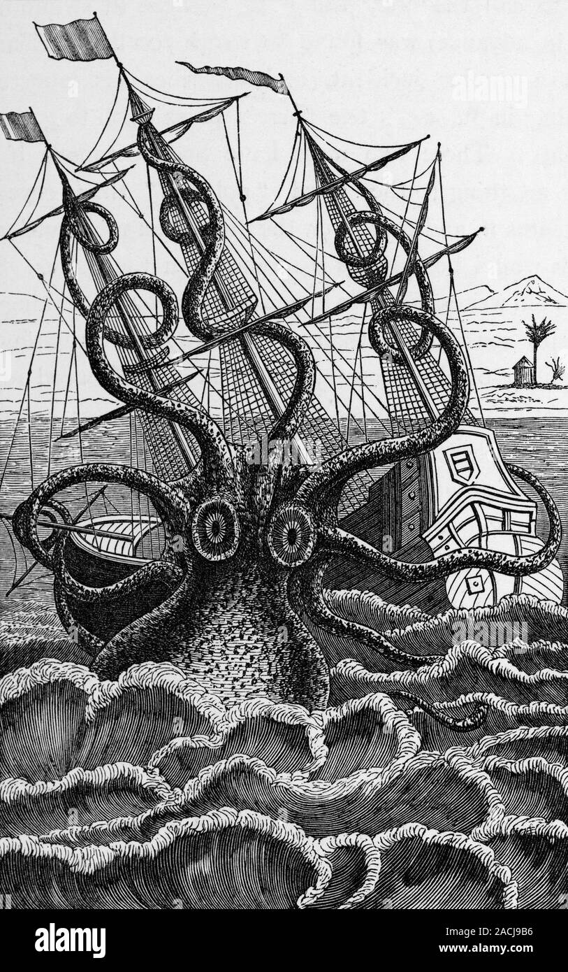 Octopus attack. Engraving showing a 'colossal octopus' attacking a ...