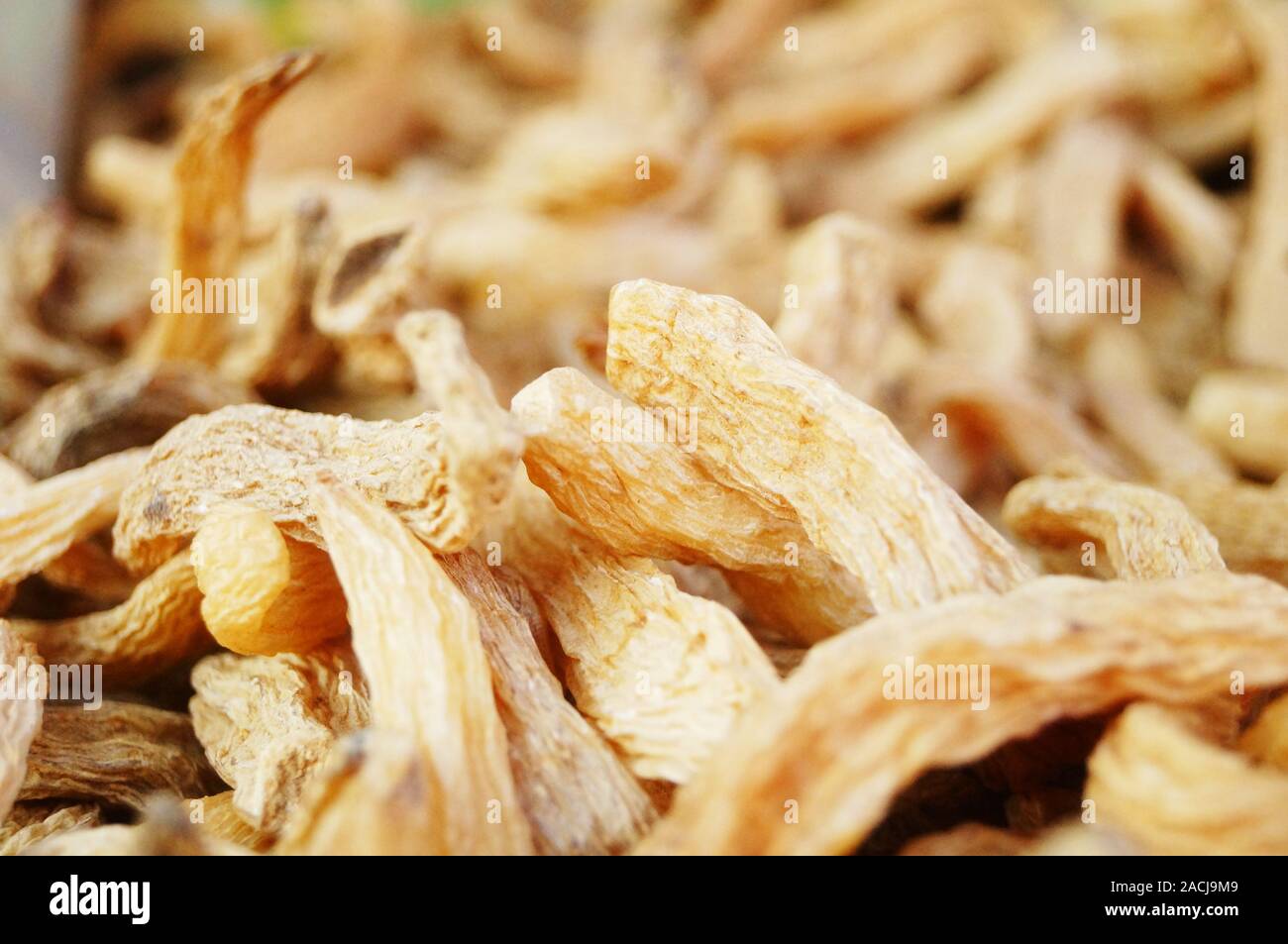 A close-up of the medicinal herb gastrodia elata Stock Photo - Alamy