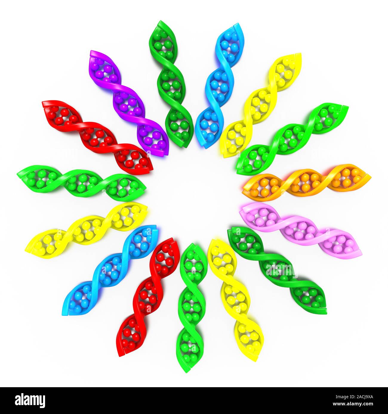 Genetic biodiversity, conceptual image. Array of multi-coloured helices ...