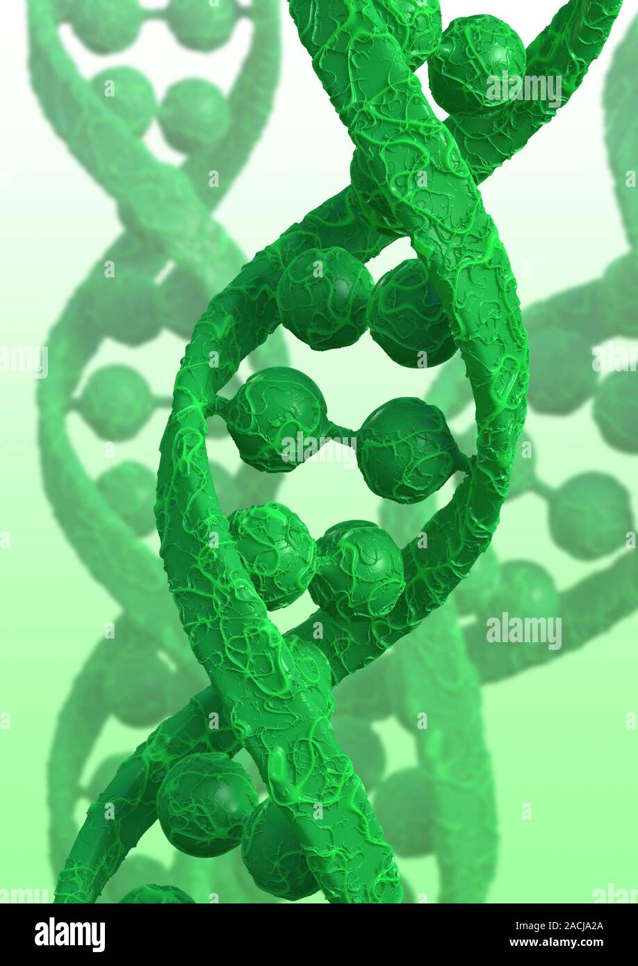 DNA (deoxyribonucleic acid) molecular structure, artwork. DNA is the ...