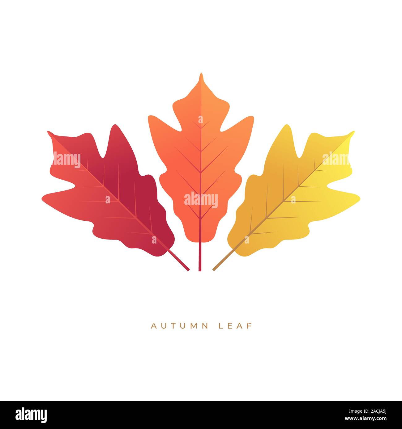 Simple colorful autumn leaves symbol Stock Vector Image & Art - Alamy