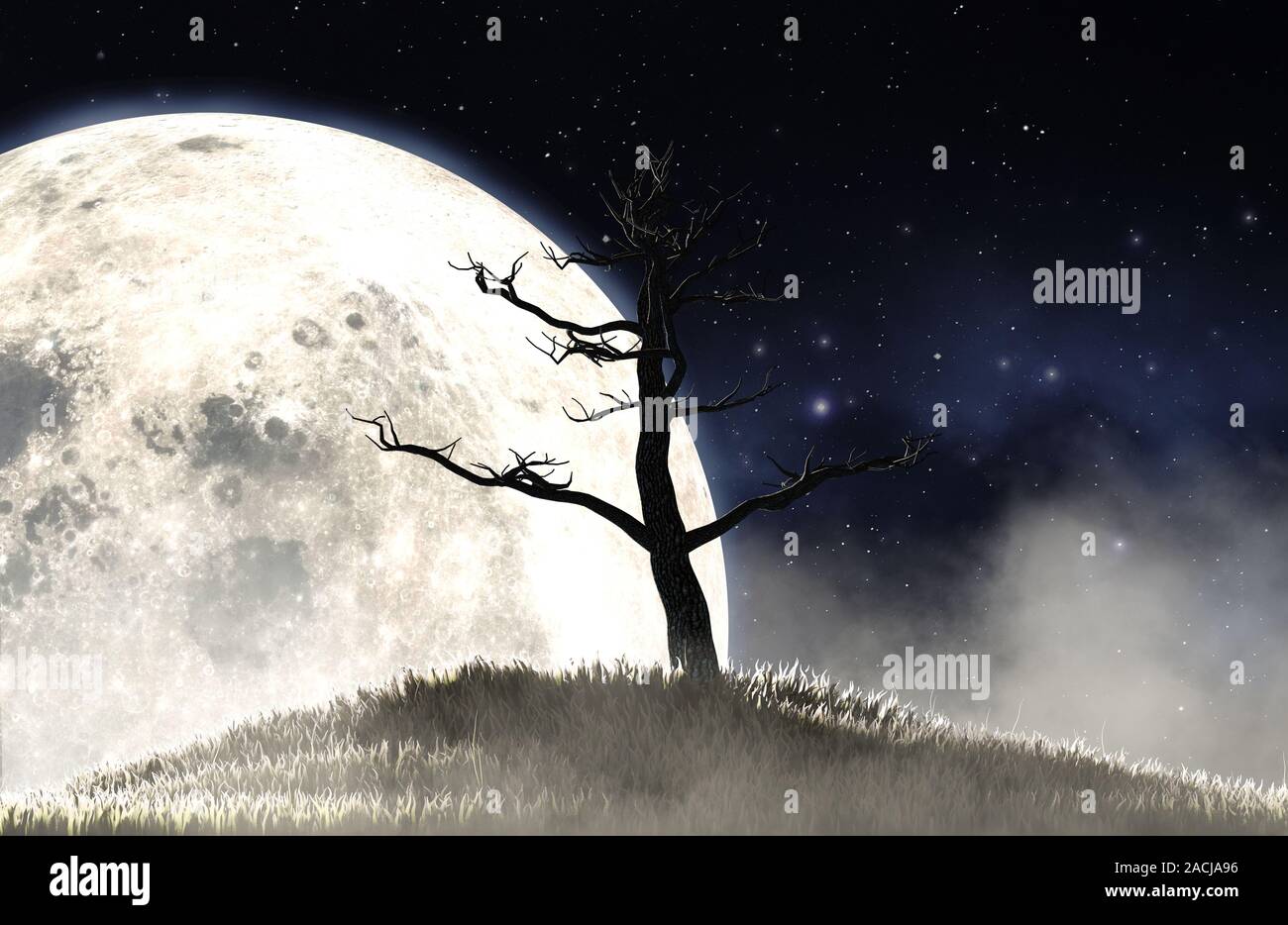 A concept image showing a dead leafless tree on a grassy hill at night ...