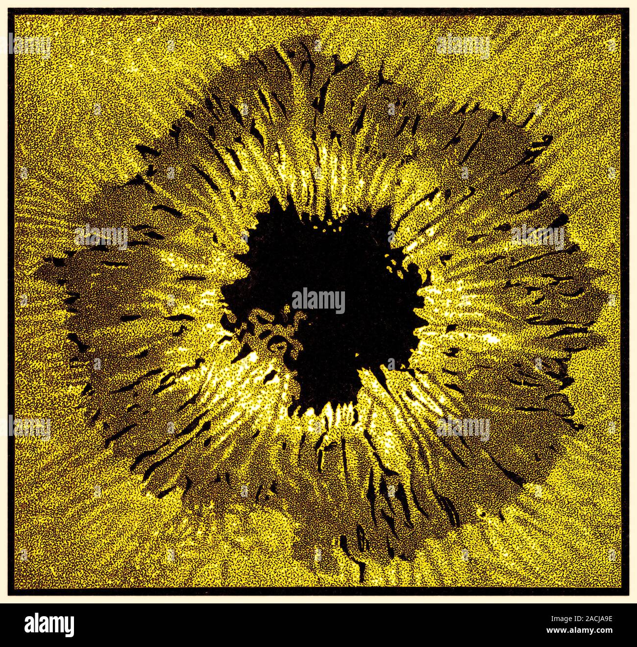 Secchi's sunspot observation. Artwork of an observation of a sunspot ...