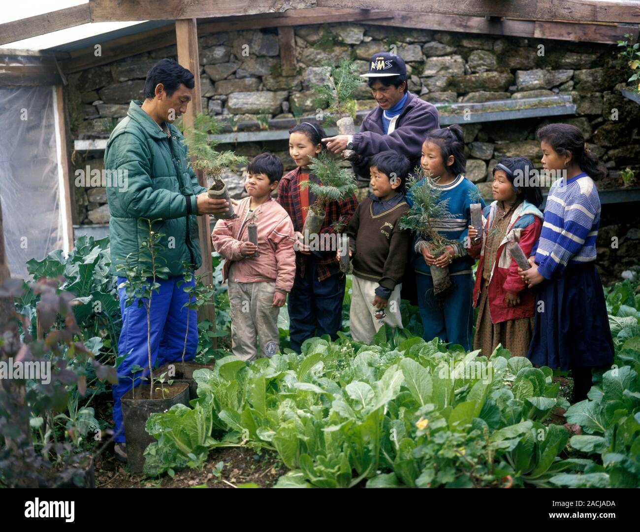 Tree conservation. Teacher and school children holding tree saplings ...